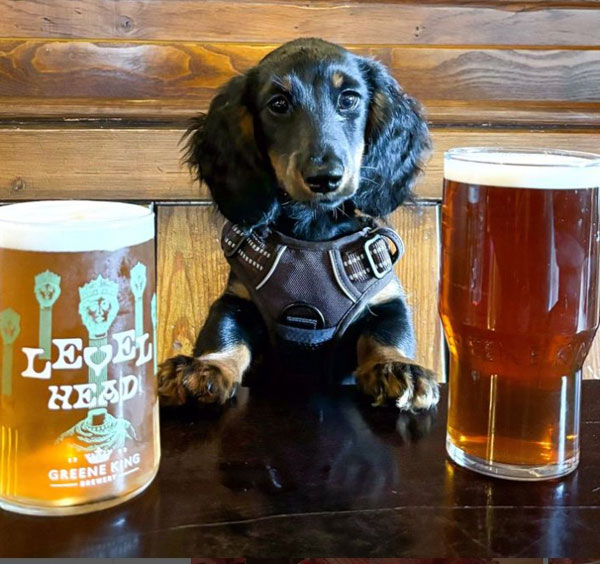 Eastcote Local - Home