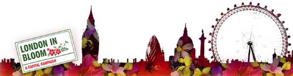 Eastcote Local - Home