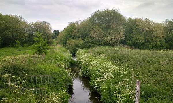 Eastcote Local - The River Pinn Meadows outstanding local area of ...